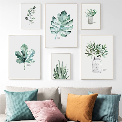 Monstera Deliciosa Pteridium Fig Leaves Watercolor Plant Le