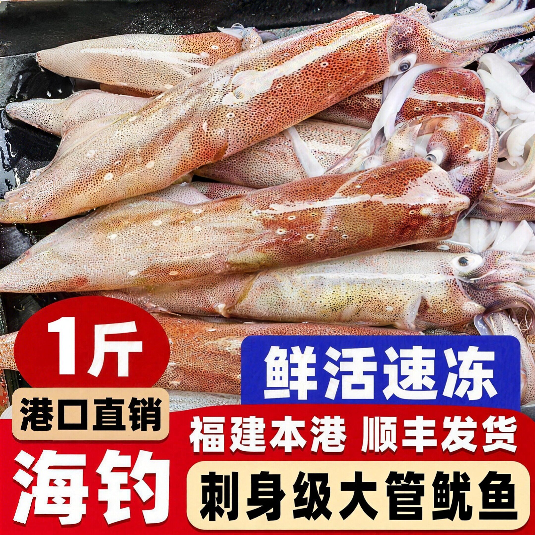 【顺丰到家】手钓大管鱿鱼冷冻白灼刺身级生鲜火箭鱿抽枪大尾鱿鱼