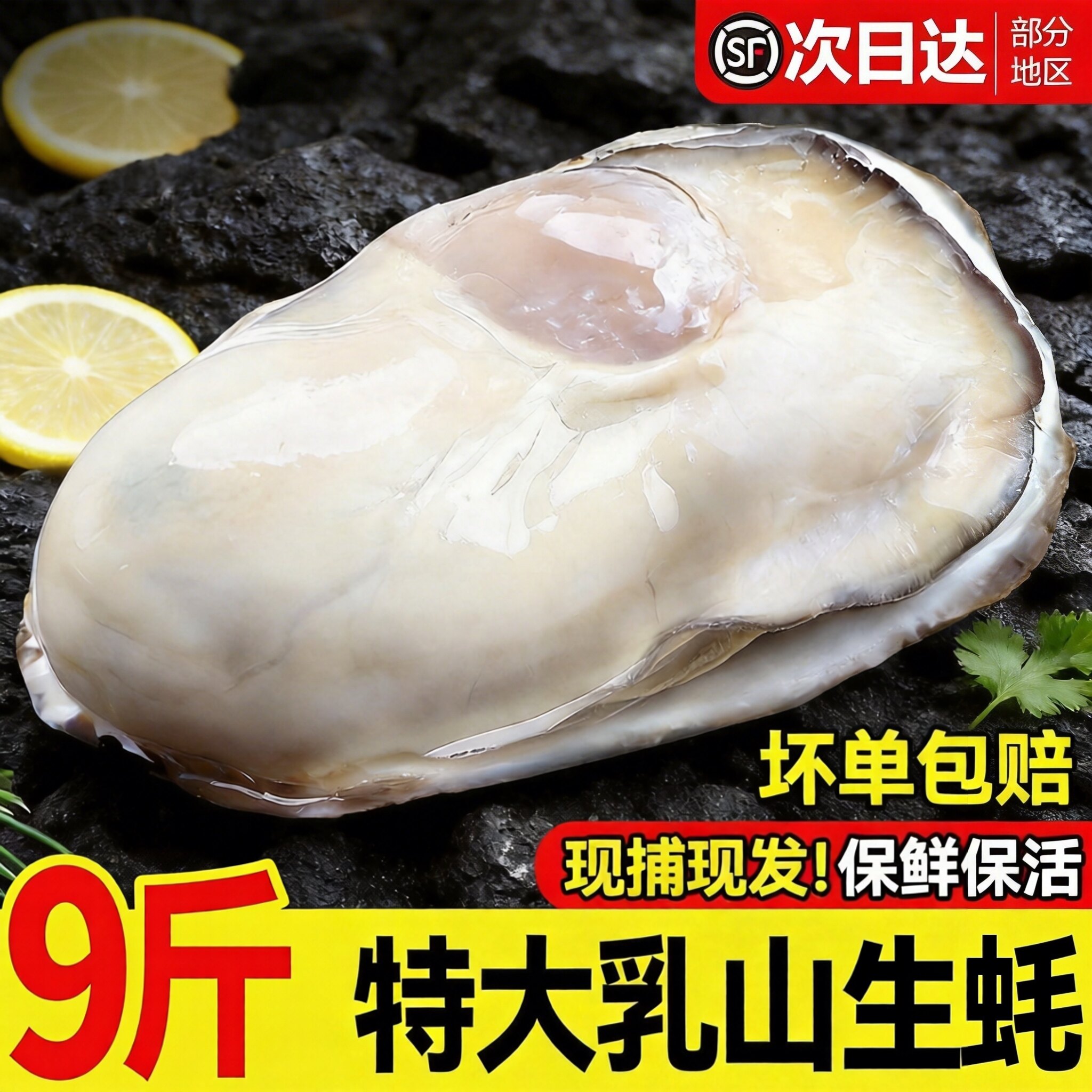 【顺丰到家】乳山大生蚝鲜活特大牡蛎带壳生吃海蛎子新鲜海鲜水产