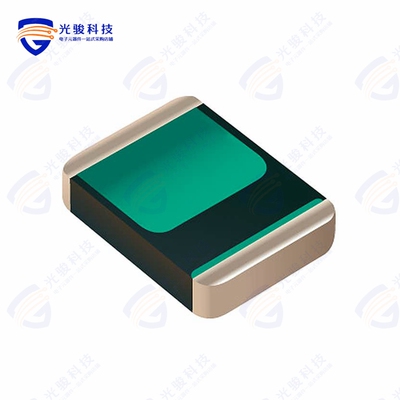 DV230K4032R2《DV SERIES 230V 4032 PKG SMD VARI》