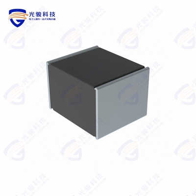 SMDTD04100TB00MQ00《CAP FILM 1UF 20% 100VDC 2824》