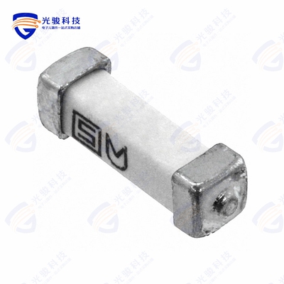 3405.0163.11《UMF 250 FUSE 500MA F SMT》