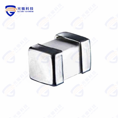 3-101-056《FUSE CERAMIC 5A 125VAC/VDC 2SMD》