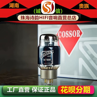 工厂店 PSVANE/贵族之声COSSOR KT88碳晶电子管代KT88\6550胆机管
