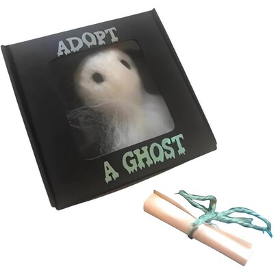 深圳现货新款Adopt A Ghost领养幽灵创意万圣节幽灵盒子
