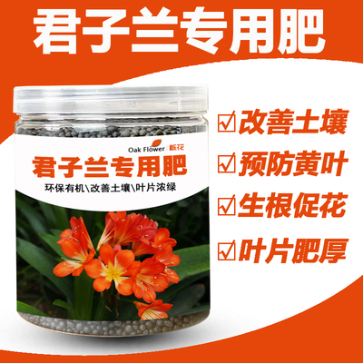君子兰肥料专用肥料营养液家用植物养花促开花防黄叶兰花颗粒肥料