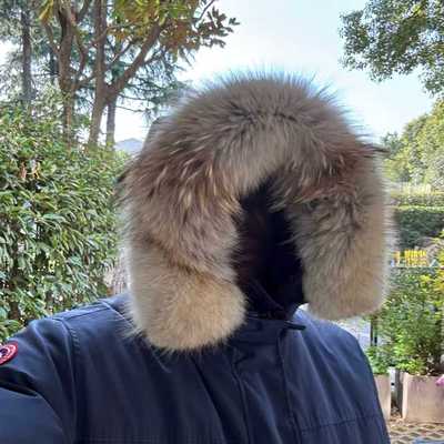 定做大鹅毛领单卖进口羽绒服