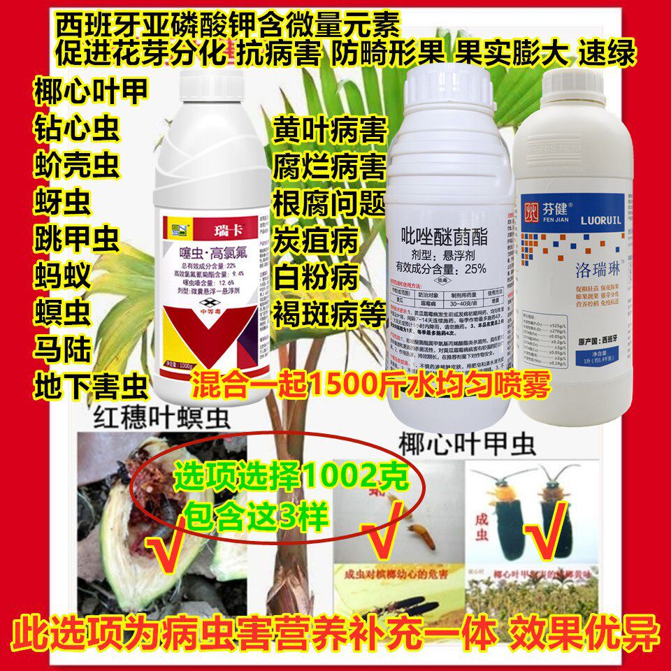 力道槟榔药椰心甲虫黄叶病烂心根腐病钻心虫蚧壳虫蚜虫杀虫剂农药