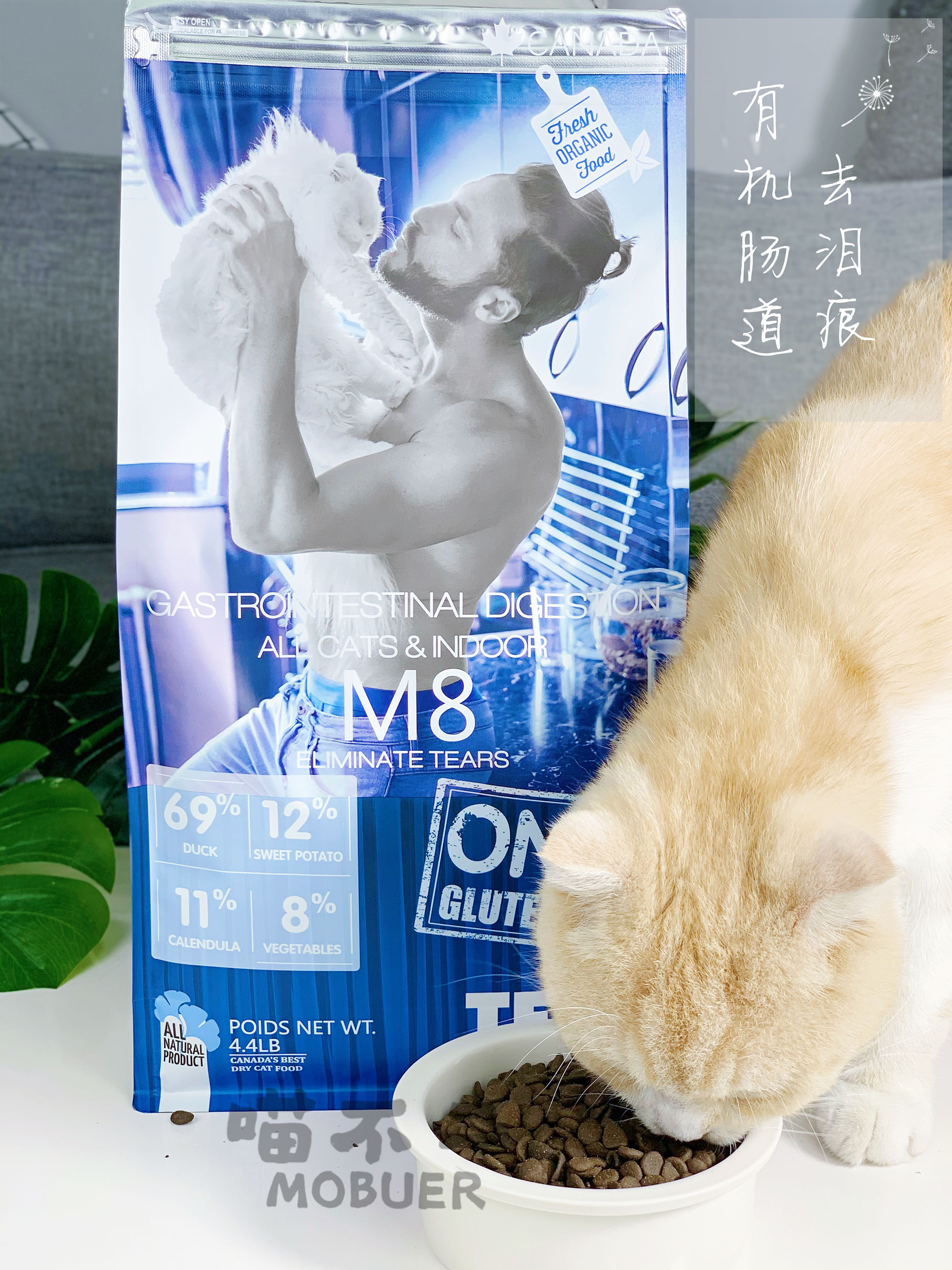 喵不二 TEB!汤恩贝M8有机肠道全猫种维护配方猫粮4.4磅2kg_虎窝淘