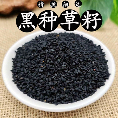 黑种草籽中药材新疆野生种草子油