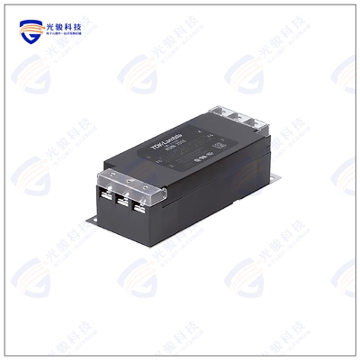 RSHN-2030L 滤波器LINE FILTER 250VAC/VDC 30A CHASS