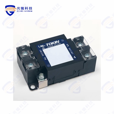 GTX-2160-YXX《EMI-RFI FILTERS 250VAC/560VDC,16》