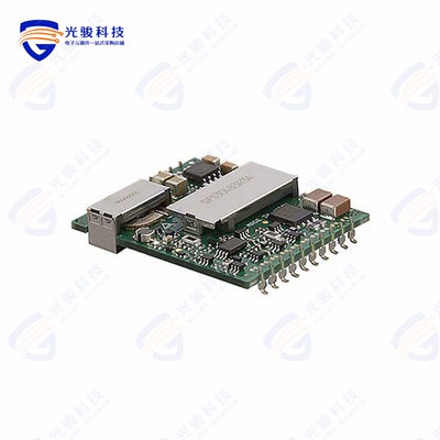 SFS30483R3B《DC DC CONVERTER 3.3V 30W》