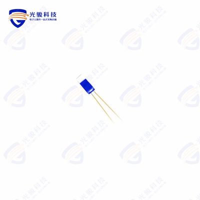 TT-PT-1000B-2050-11-AUNI《PT RTD 1000 OHM CLASS B》