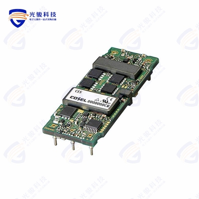CES48018-30-V《DC DC CONVERTER 1.8V 54W》