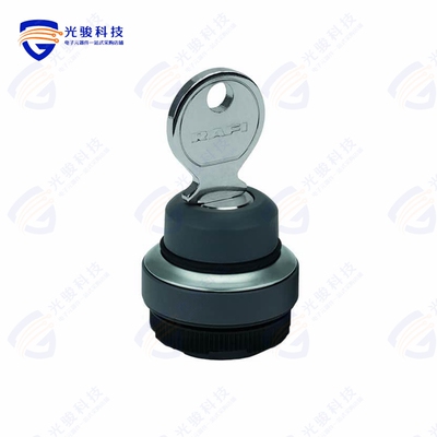 1.30275.2210800 《CONFIG SW BODY KEYLOCK NON-ILLUM》