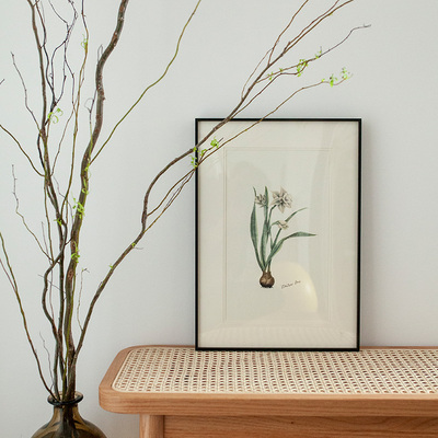 ZHIBAI ART 正版原创手绘植物花卉 北欧客厅装饰画挂画玄关竖版