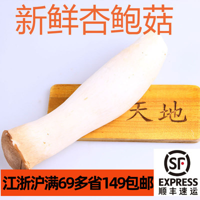 新鲜食用杏鲍菇500g菌菇菌类菌菇农产品 Mushroom 家常食材蔬菜