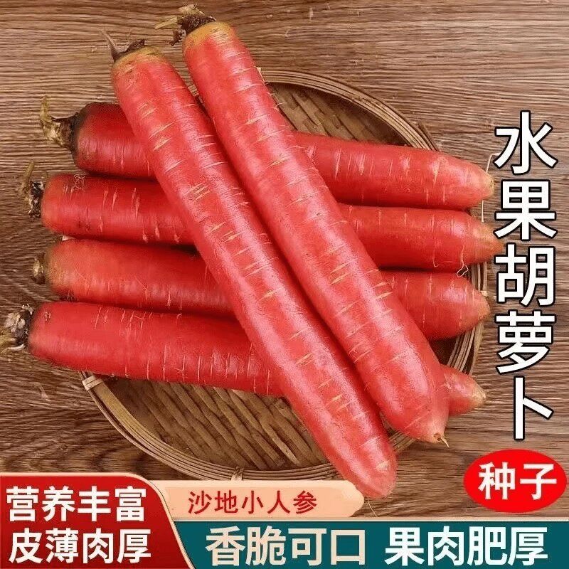 糖心水果胡萝卜种子透心红胡萝卜籽易种耐热耐寒三红胡萝卜种子