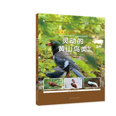 灵动的黄山鸟类/大美黄山自然生态名片丛书 北京时代华文书局 林清贤,王海婴编著 著 中学教辅G