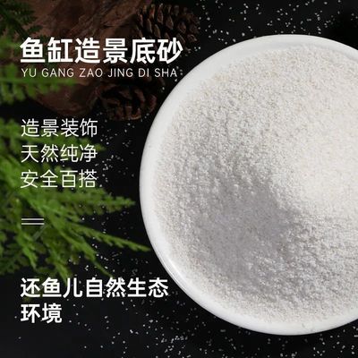 白色石英沙超细颗粒鱼缸造景底砂溪流乌龟缸铺底白沙海沙装饰底砂