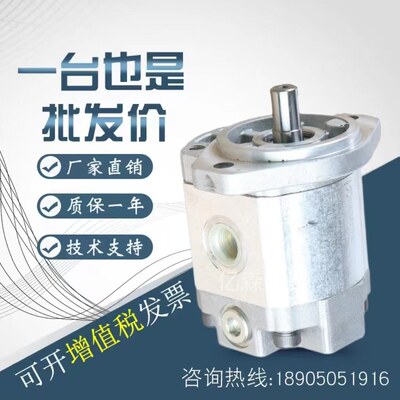 凯斯帕CASAPPA齿轮泵PLM30.22/27/34/38/43/51/61/73/80/液压油泵