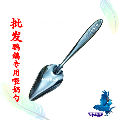 专用鹦鹉喂奶勺子调奶勺搅拌奶粉勺子调羹奶粉喂食器手养鹦鹉勺子
