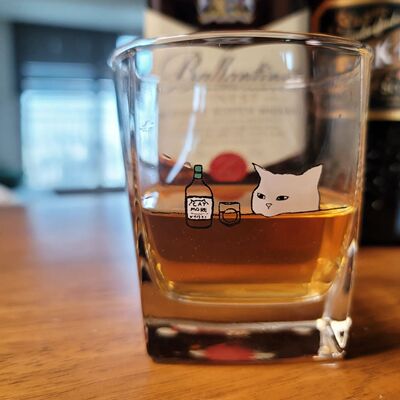 heyday 和你的小猫一起喝酒 猫咪玻璃威士忌酒杯子透明果汁杯礼物