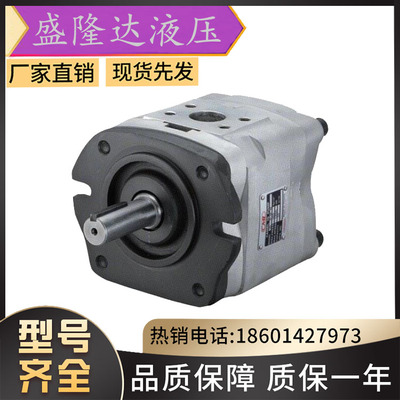 CML全懋/VCM-DF-12A/12B/12C/12D-12A/12B/12C/12D-10/双联叶片泵