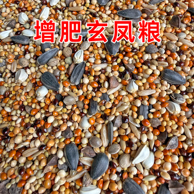 增肥玄凤鹦鹉鸟粮牡丹营养混合粮五色黍子黄谷子粮食鸟食添加麻子