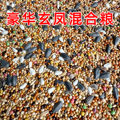 玄凤鹦鹉混合谷物鸟粮