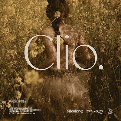 3SD3文艺复古婚礼杂志品牌模特艺术标题LOGO排版PROCREAT英文字体