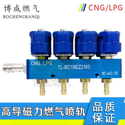 汽车天然气cng喷轨lpg车用喷气嘴