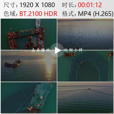 航拍新疆福海县乌伦古湖渔民捕捞池沼公鱼高清实拍视频素材