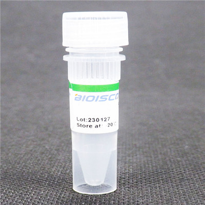 DNA凝胶加样缓冲液 Loading Buffer 配置溶液 试剂盒 核酸电泳