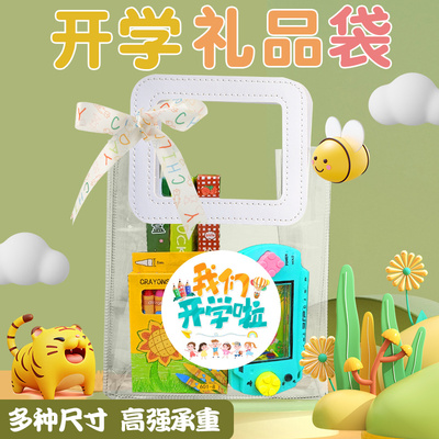 幼儿园生日伴手礼小学生毕业礼物手提零食袋透明礼品袋子高级感