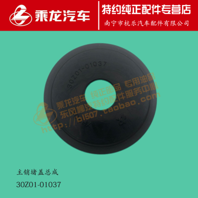 乘龙H7东风德纳桥主销堵盖