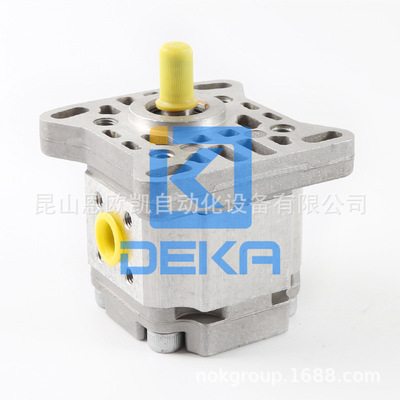 原装正品法国HPI齿轮泵	P1CBN100