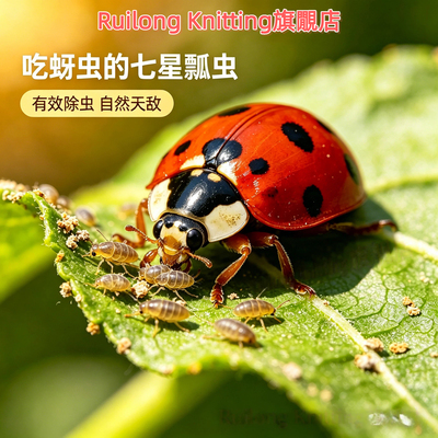 七星瓢虫活体料花草蚜发宠物包蔬菜专异色除虫多星专吃包邮卵成虫