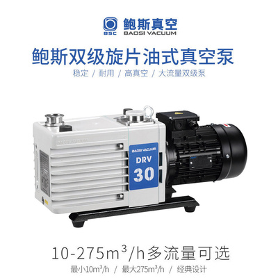 鲍斯真空泵双级旋片铸铁工业