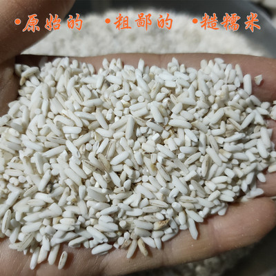 胚芽糯米老品种农家自留种糙糯米