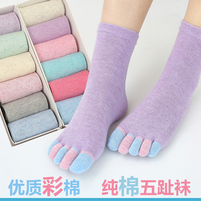 特价春秋 纯棉五指袜女 全棉中筒彩指袜子 分脚趾休闲短袜 礼盒装