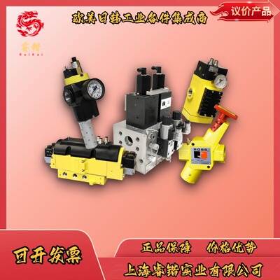 ROSS提升阀CP10DB07101W
