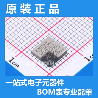 型号BGM11S12F256GA-V2R封装-品牌SILICONLABS(芯科)正品