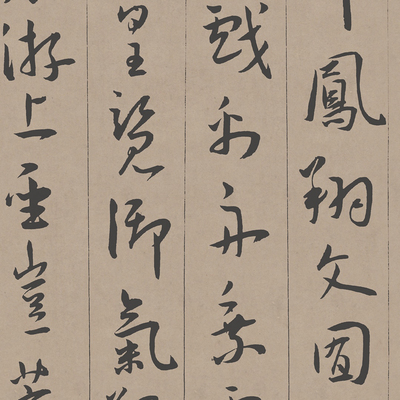 明代 王宠 草书西苑诗卷 毛笔字帖 书法装裱 纸本绢布 微喷复制