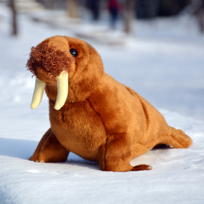 仿真海象毛绒玩具可爱海洋动物公仔儿童生日家居摆件陪伴礼物玩偶