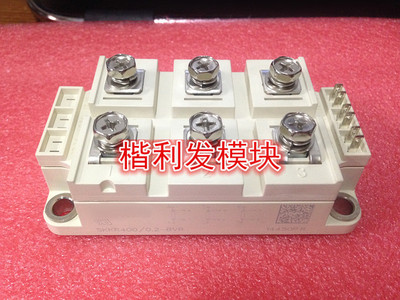 SKKR400-0.2-BVR SKKR400/02 SKKR400/0.2-BVRS