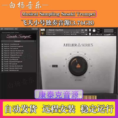 Musical Sampling Sasaki Trumpet音色库飞天小号独奏Kontakt音源