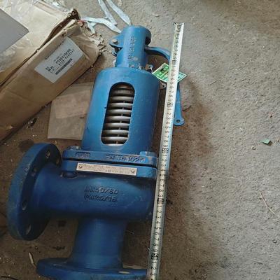 斯派莎克安全阀SV607DS 球墨铸铁 DN50 备件/咨询