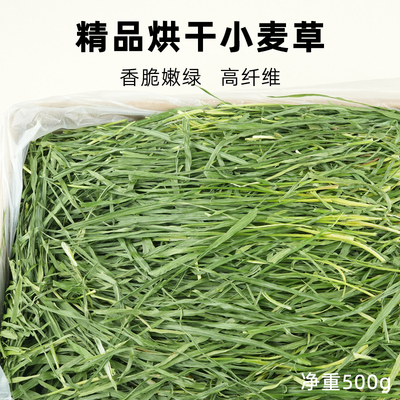 兔兔烘干小麦草嫩苗龙猫豚鼠草